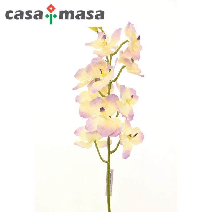 Orhidee Vanda crem-violet 80 cm