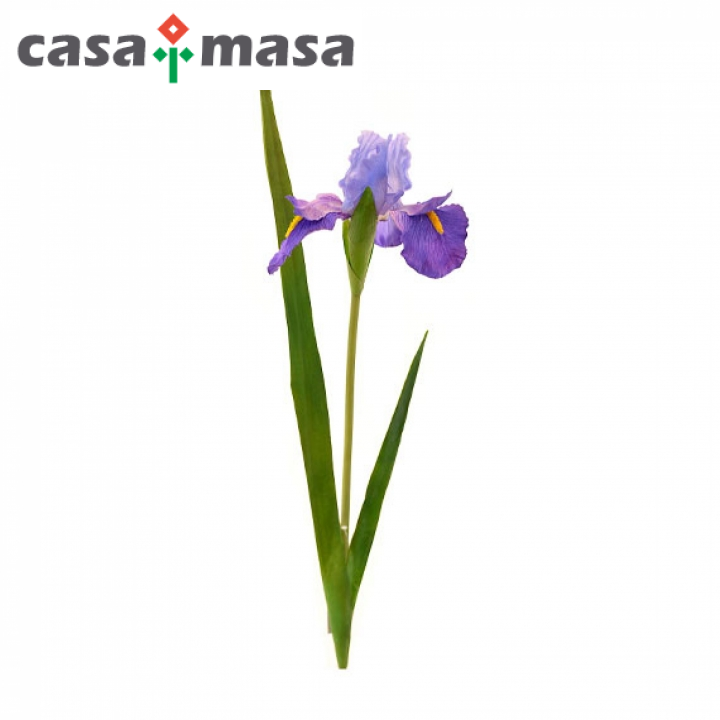 Iris albastru 95 cm